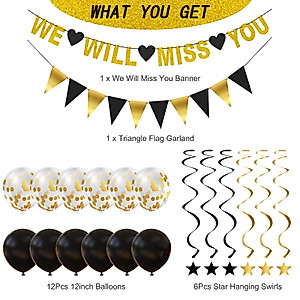 We Will Miss You Decorations Gold Glitter We Will Miss You Banner, Triangle Flag Garland, Star Hanging Swirls and Balloons for Office Leaving, Farewell, Goodbye, Going Away Party Decorations