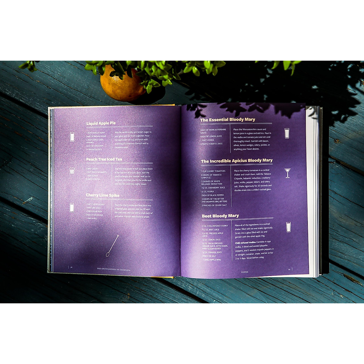 The Encyclopedia of Cocktails: Over 1,000 Cocktails for Every Occasion (Over 1,000 Cocktail Recipes for Every Occasion) (Encyclopedia Cookbooks)