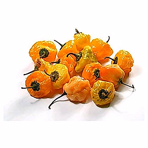 30+ Yellow Scotch Bonnet Jamaican Hot Pepper Seeds Heirloom Non-GMO Spicy, from USA