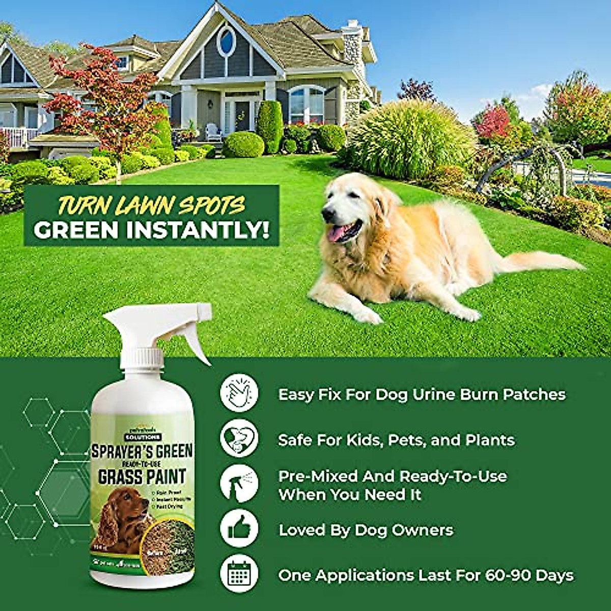 PetraMax Green Grass Paint for Lawn, Ready-To-Use Green Grass Lawn Spray & Dog Spot Repair, Lawn Paint, Spray on Grass, Green Lawn Spray, Green Grass Spray Paint for Lawn Yellow & Urine Spots - 32 oz