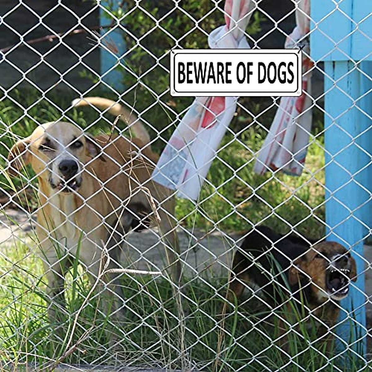 Beware of Dog Sign, (2 Pack) Metal Dog Signs for Fence, 10" x 3.5" Aluminum Dog Warning Sign Outdoor, Rust Free Dog Gate Sign, Guard Dog Sign for House