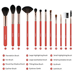 Makeup Brushes Set Professional from an Array of Eyeshadow Foundation Brushes to a Concealer Brush to Eyelash and Blusher Brushes 12 Pcs Make up Brush Kit -the Makeup World is Truly Your Oyster.