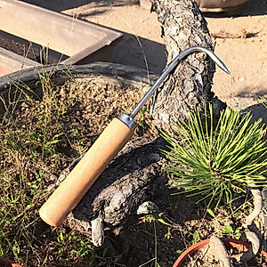 2Pcs 240mm/ 9.45in Single Claw Bonsai Root Hook, Stainless Steel Gardening Digging Tools with Wooden Handle for Weeding Planting Flowers