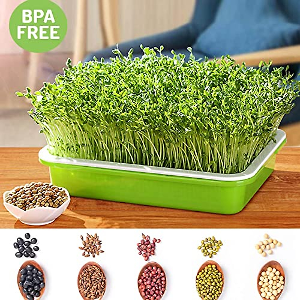 Seed Sprouter Trays 3 Packs , Microgreens Growing Trays Nursery Tray Bean Sprouts Sprouting Container Kit with Lid Wheatgrass Cat Grass Seedling Planting Storaging Trays for Garden Home Office