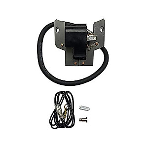 ENGINERUN 398593 Ignition Coil Module Magneto for Briggs & Stratton 3HP Engines 793281, 793352, 792594, 395489, 398593 496914