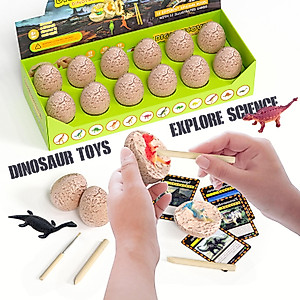 DoDoMagxanadu Dinosaur Eggs,12 Dino Eggs Dig Excavation Kit Dinosaur Toys for Boys, Science STEM Dinosaur Party Favors Goodie Bag Stocking Stuffers for Boys & Girls Ages 3-5 4-7 5-7+