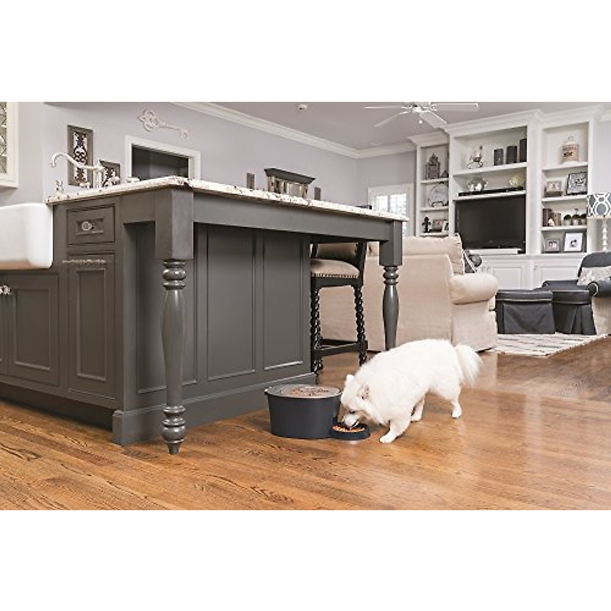 PetSafe 6 Meal Programmable Pet Food Dispenser, Automatic Dog and Cat Feeder - Dry Kibble or Semi-Moist Pet Food, Slow Feed Portion Control (6 Cup/48 Ounce Capacity), Tamper-Resistant, Sleep Mode Blue