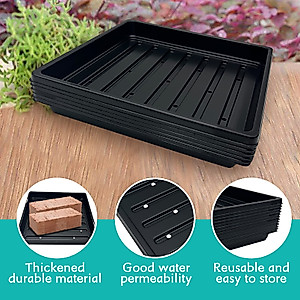 Apatal 1010 Seed Starting Trays, 12 Pack Garden Growing Trays with Drain Holes Reusable Microgreens Seed Plastic Tray Plant Germination Tray