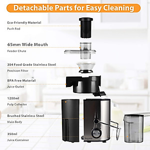 Juicer, Bagotte Centrifugal Juicer, BPA-Free, High Juice Yield Dual-Speed Juice Extractor with 304 Stainless Steel,65mm Wide Feed Chute Juicer Machines for Whole Fruit and Vegetable, Easy to Clean