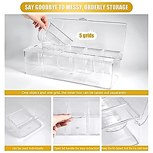 [Stainless Steel] 5 Spoons, 5 Forks and 1 Clip, Condiment Tray, Condiment Server, Caddy, Bar Garnish Holder on ice,Bar Accessories Fruit and Salad with Removable Trays with lid