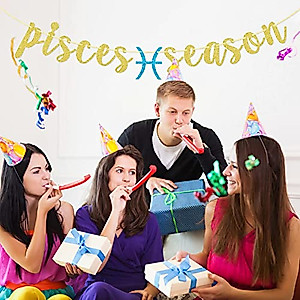 Pisces Season Birthday Banner Zodiac Birthday Party Decorations February March Astrology Sign Gold Glitter String Decor