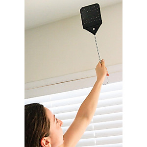 Insectifuge Leather Fly Swatter 2 Pack with 5 Window Fly Traps - Heavy Duty Fly Swatter Manual, Retractable Fly Swatter for Indoors Outdoors, Large Fly Swatters Multi Pack Long Handle, MATA Moscas