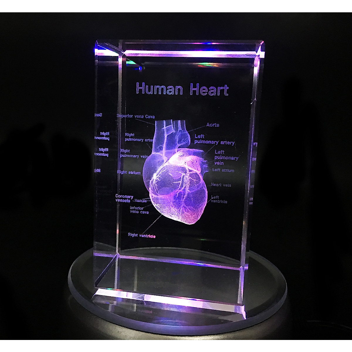3D Human Heart Anatomical Model Paperweight(Laser Etched) in Crystal Glass Cube Science Gift (No Included LED Base)(3.1x2x2 inch)