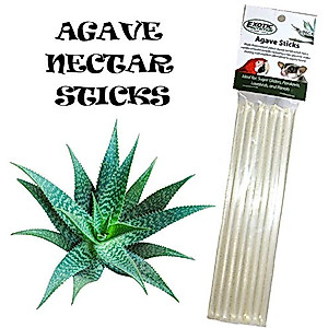 Agave Sticks (8 Straws) - Natural Organic Agave Nectar Straws - Sweet Treat for Small Animals - Sugar Gliders, Marmosets, Parrots, Canaries, Finches, Parakeets, Cockatiels, Other Birds