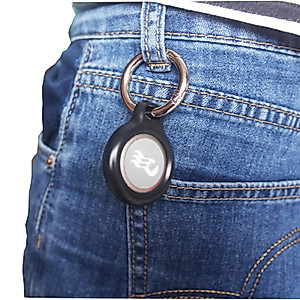 Keychain For Princess Cruise Medallion Holder Accessory Men Women,Princess Medallion Holder Accessories (2 pack)