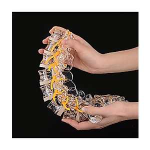 Ultrassist Human Lumbar Spine Model with Sacrum, Spinal Nerves and Herniation Disc, Includes Base for Display, Life Size Spine Model for Medical Education