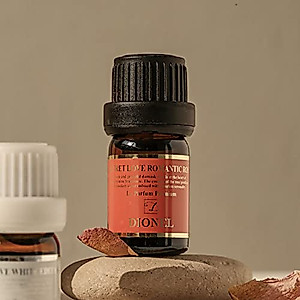 Dionel Secret Love Romantic Rose inner perfume fragrance oil for underwear women Long-lasting feminine Fragrance with rich and rose Scent 5ml 0.17fl.oz