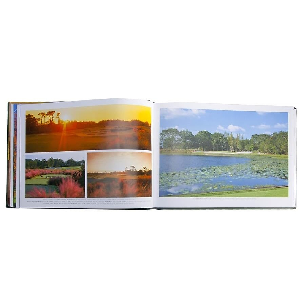 Graphic Image Golf Courses FAIRWAYS of The World by David Cannon Special Edition in Rich Green Leather -