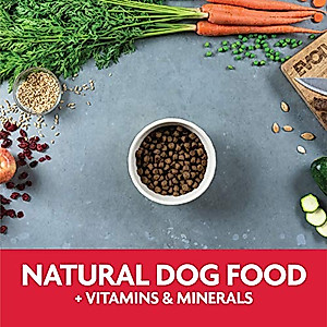 Evolve Pet Food Classics Deboned Beef, Barley and Bison Recipe Dog Food, 3.5-pounds