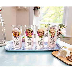 Silver Buffalo The Golden Girls Frames Logo 10-Ounce Tumbler Glasses | Set of 4