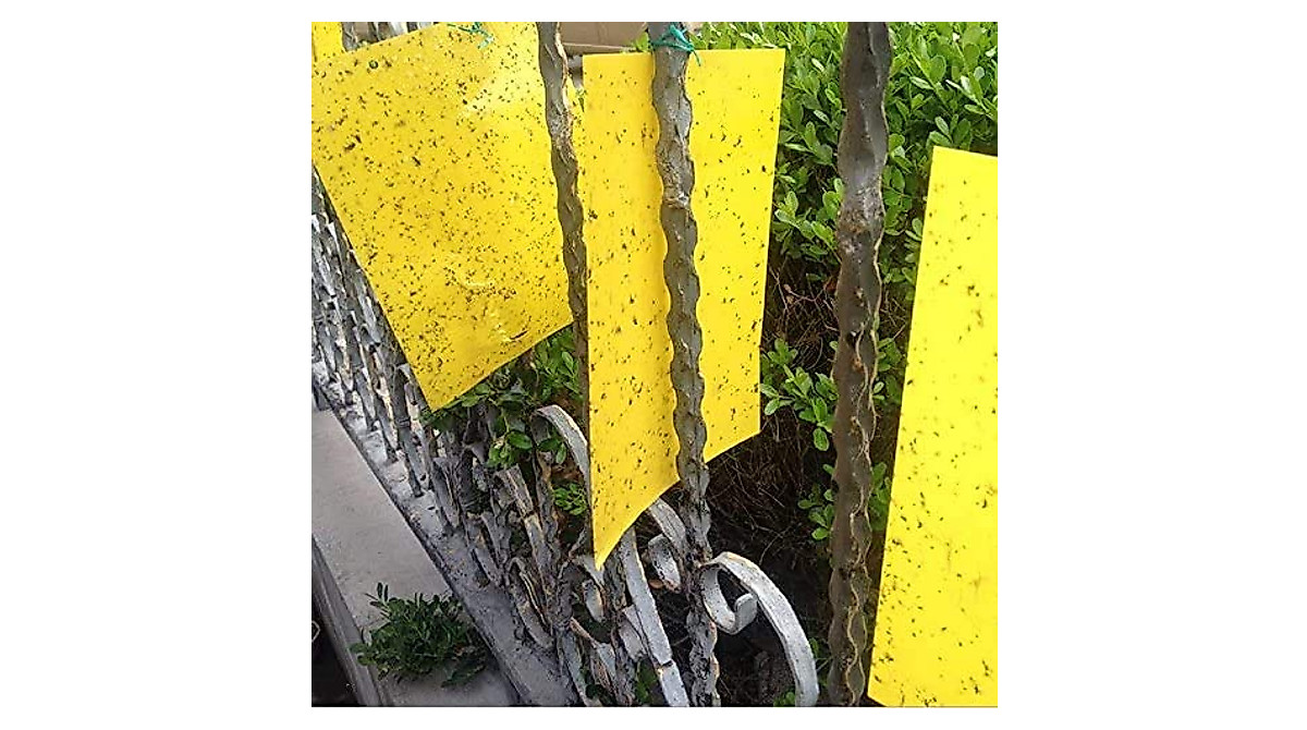 Dual Yellow Sticky Traps for Plant Pest Control - 20 Pack | Eco-Friendly