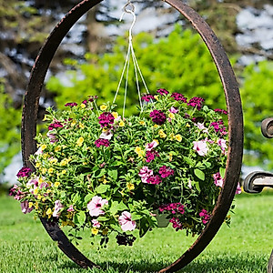 Axe Sickle 2 Inch Screw Eyes Metal Eye Hooks Small Eyelet Screws, 30 Pcs