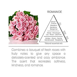 Acqua Aroma Romance Collection Liquid Hand Soap 10.1 FL OZ (300mL) Handcrafted Made in Brazil