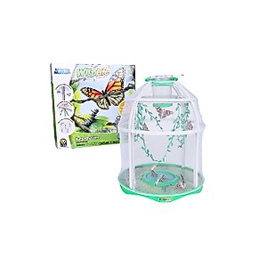 Uncle Milton Butterfly Farm Live Habitat - Observe Caterpillars Transform Into Butterflies, STEM Toy, Great Gifts for Boys & Girls Ages 6+