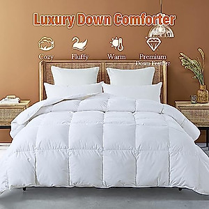 Cosybay Feather Down Comforter - All Season White Twin Size Down Duvet Insert- Luxurious Hotel Bedding Comforters with 100% Cotton Cover - Twin/Twin XL 68 x 90 Inch