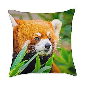 Red Panda Gifts Red Panda Throw Pillow, 18x18, Multicolor