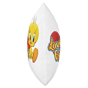 Looney Tunes Tweety Love Bird Valentine's Day Throw Pillow, 18x18, Multicolor