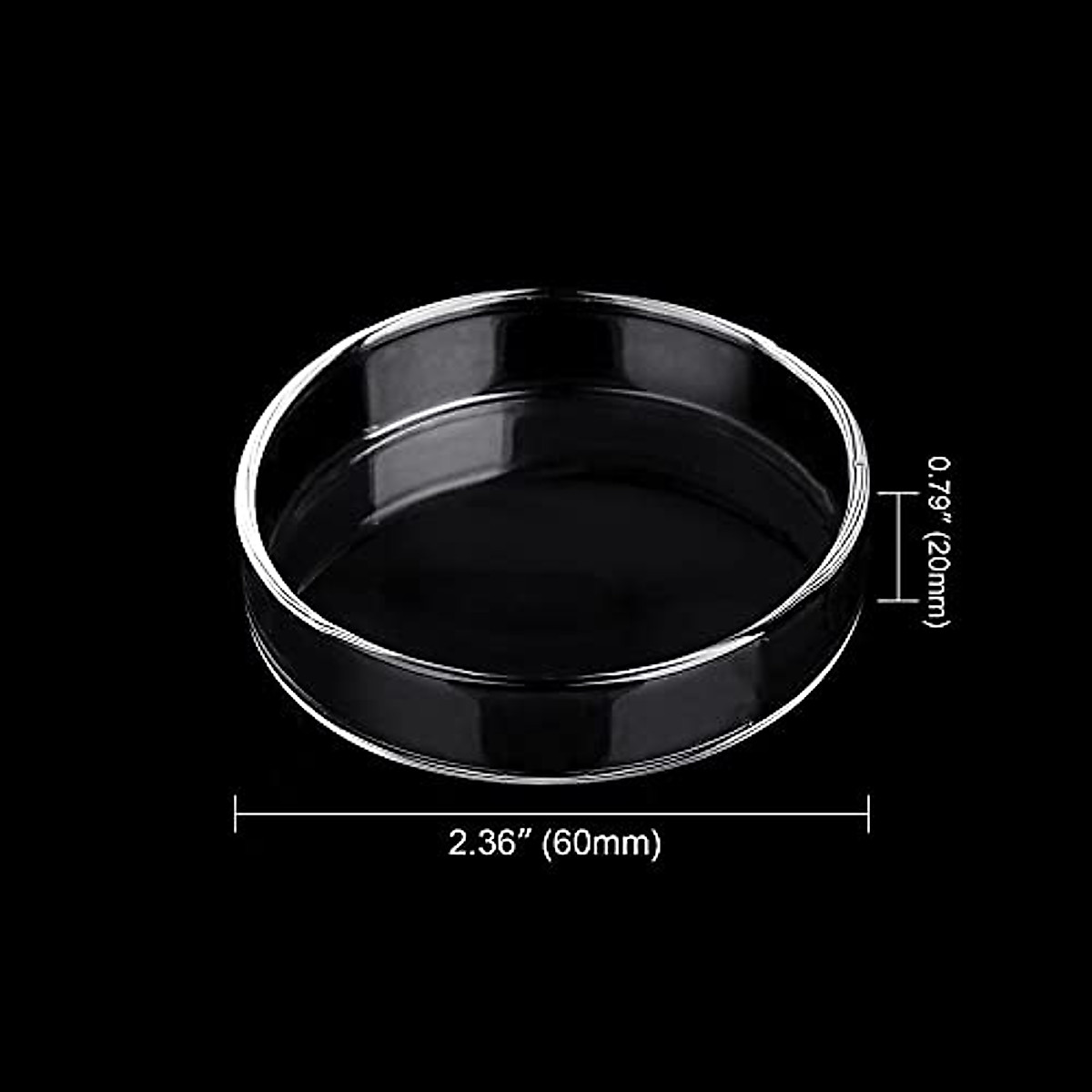 Dannisly Aquarium Glass Feeder Dish Shrimp Feeding Dish Round Clear Glass Fish Feeder Bowl Fish Tank Food Tray Container Prevent Food Spilling, 60mm