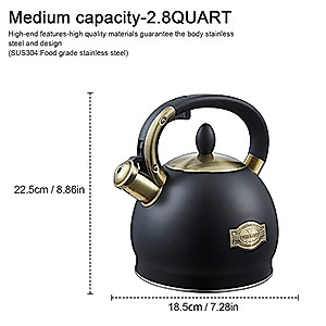 Tea Kettle -2.8 Quart Tea Kettles Stovetop Whistling Teapot Stainless Steel Tea Pots for Stove Top Whistle Tea Pot