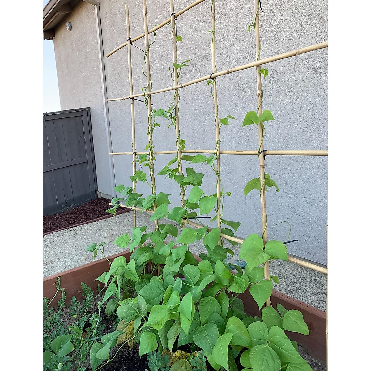 50Pcs Garden Stakes, 0.32”/16 Inch Bamboo Sticks，Natural Plant Stakes for Indoor and Outdoor Plants，Poles for Tomatoes, Beans, Potted Plants