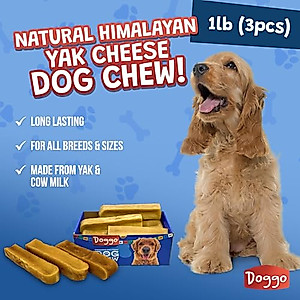 Doggo Dog Chew - Premium Yak Cheese Himalayan Dog Chews - Natural Yak Chews for Large and Small Dogs - Yak Milk Dog Chew - Long-Lasting Treats Aggressive Chewers - X-Large, 1 Pound (3 Pieces)