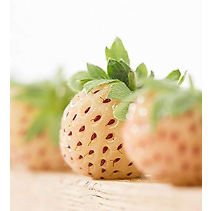 200+ White Strawberry and Red Strawberry Seeds Bonsai Berry Fruit Plants Garden Non-GMO