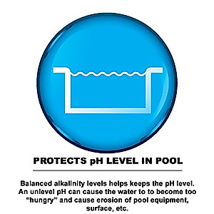 Puri Tech Pool Chemicals 15 lb Total Alkalinity Increaser Plus for Swimming Pools Increases Total Alkalinity Preventing Cloudiness and Scaling