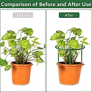 12Packs Plant Support Stakes Half Round Plant Stakes for Indoor Plants, Stackable 3 Tier Garden Flower Support, Plant Cages for Tomato,Monstera, Peony, Hydrangea, Climbing Plants