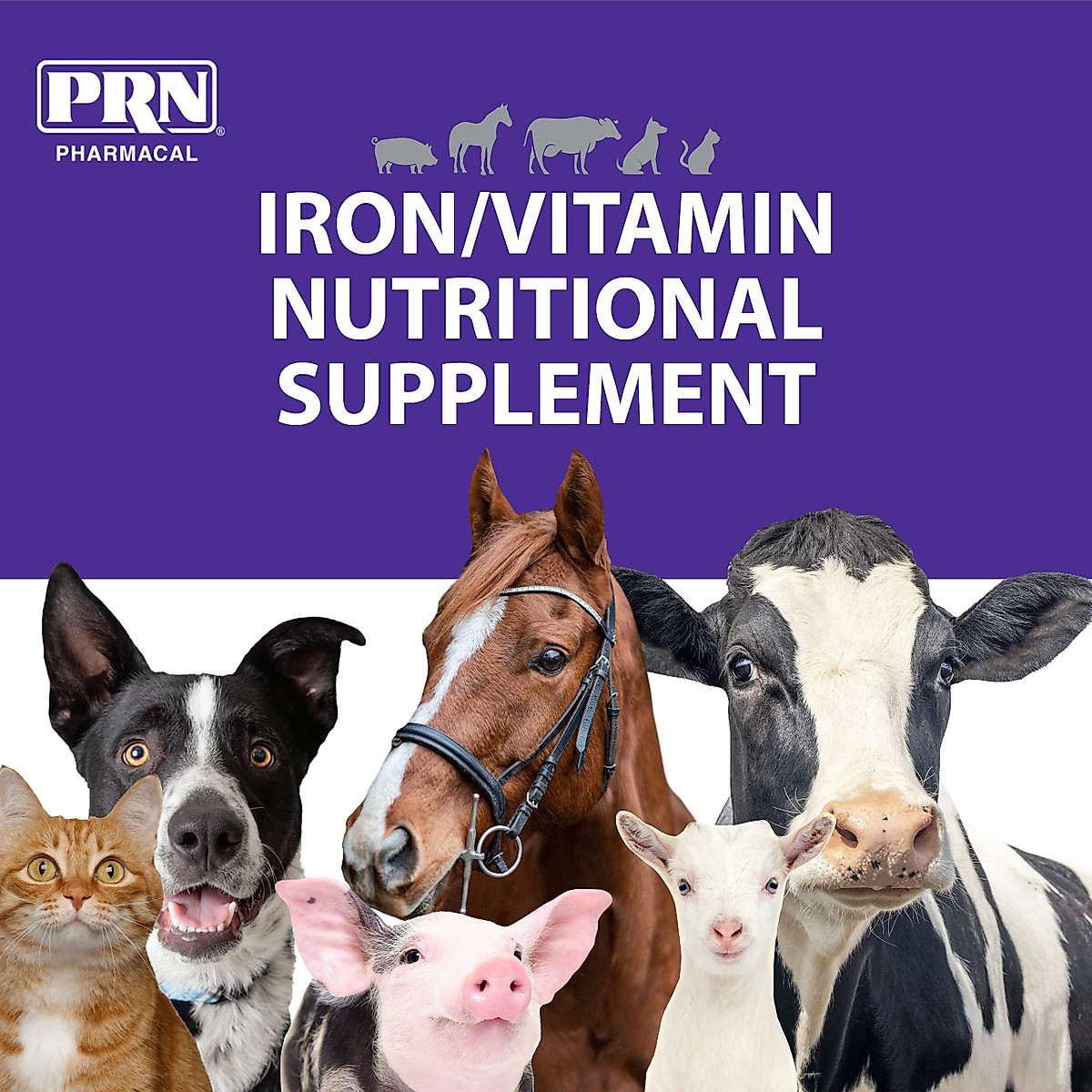 PRN Pharmacal Liqui-Tinic 4X - Iron & Vitamins Oral Nutritional Supplement for Pets- Liver-Flavored Supplement with Iron & B-Complex Vitamins to Support Wellness - 1 Gallon
