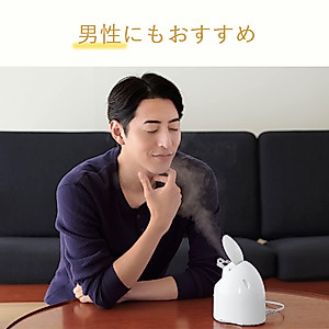 Panasonic EH-SA3C-N [Steamer Nanocare Compact Type Gold Style] Facial Steamer 100V Shipped from Japan