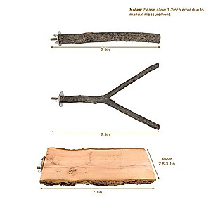 4 Pack Natural Wood Bird Perch for Bird Cages,Parrot Stand Perch Platform Exercise Playground Toys Paw Grinding Stick Perch Stand Cage Accessories for Budgies Cockatiel Conure Parakeet Lovebirds (H01)