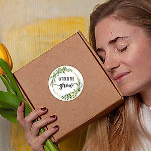 Watch Me Grow Stickers, Greenery Wedding Favor Stickers, Baby Shower Stickers, Favors, Decorations, 2 Inch, Pack of 50