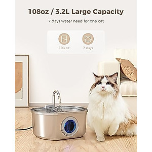 Cat Water Fountain Stainless Steel: 3.2L/108oz Large Automatic Quiet Pet Water Fountain - Dog Water Dispenser with Water Level Window - Multiple Pets - 4 Filter Replacement