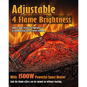 Electric Fireplace Logs Heater, Fireplace Insert with Realistic Fake Fire, 4 Flame Brightness, Remote Control, 8H Timer, Overheat Protection, Ember Bed Heater for Living Room, Christmas Decor, 1500W