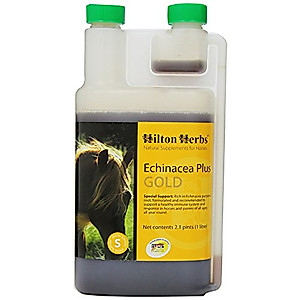 Hilton Herbs Echinacea Plus Gold Liquid Herbal Immunity Supplement for Horses, 2.1pt Bottle