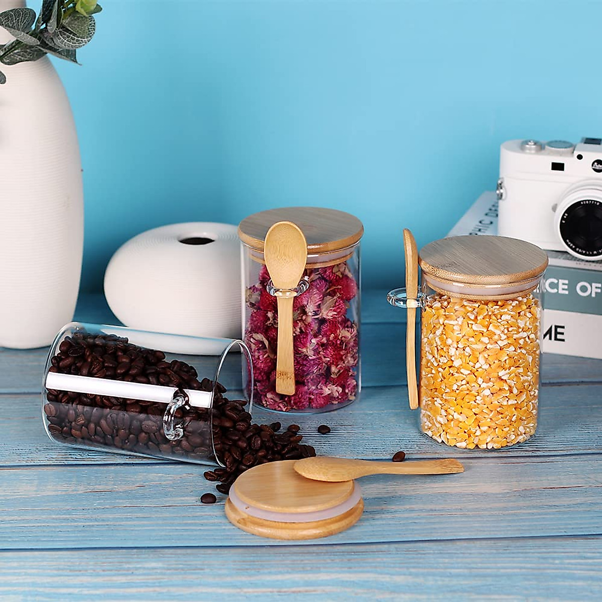 LEAVES AND TREES Y Glass Jars with Bamboo Lids and Spoon, 17 OZ Set of 3 Small Glass Sugar Container with Wooden Lids and Scoop, Coffee Tea Jars for Loose Tea, Coffee Bar Containers