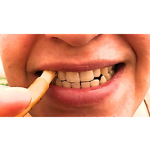 Miswak Stick - Sewak Al-Falah - Hygienically Processed and Vacuumed Packed - 1 Stick by Al-Falah Impex