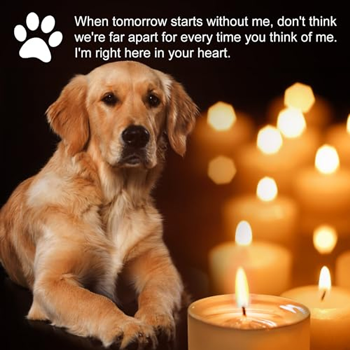 BlissfulAbode Dog Memorial Picture Frame with Pet Urns for Dogs Ashes,Pet Owner Home Décor,Remembrance and Condolences Gifts for Loss of Dog,Wooden (4 X 6 Inches)