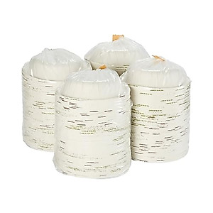 Dixie Pathways Heavyweight Paper Bowls, 20 Oz, White/Green/Burgundy, 125/pack