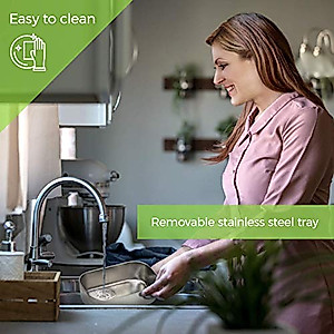 Sweet Home Bee 2 in 1, Electric Lunch Box –FAST HEATING, Car, Truck, Home Use, Portable Food Warmer Heater with Food Grade Removable Stainless Steel Container and Fork